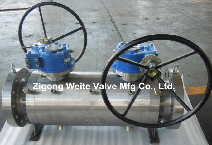 DBB Gear Operated Ball Valve